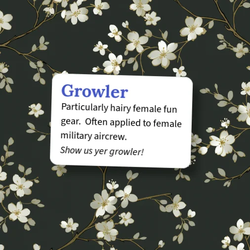 Urban Dictionary: Growler