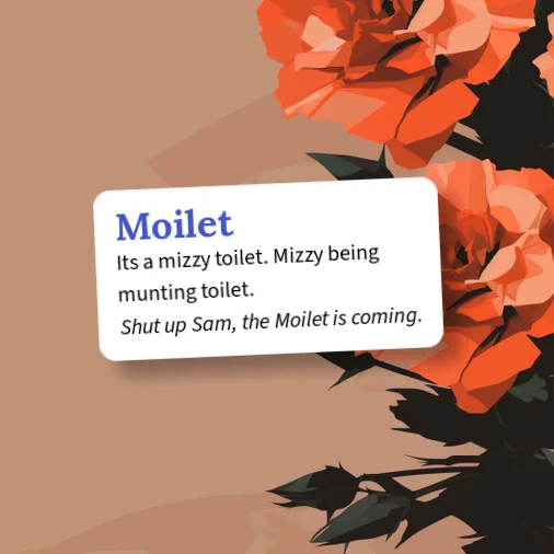 Urban Dictionary: Moilet