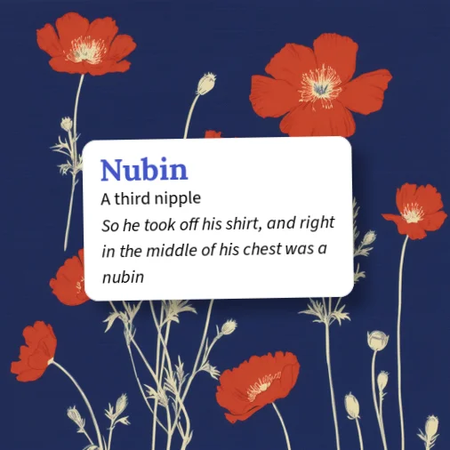 Urban Dictionary: Nubin