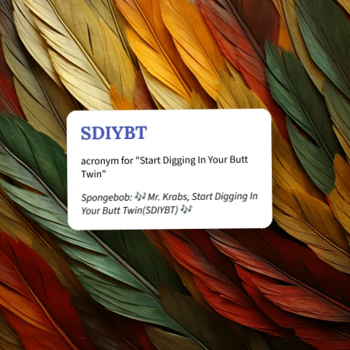 Urban Dictionary: SDIYBT