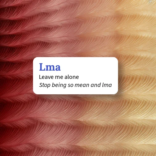 Urban Dictionary: Lma