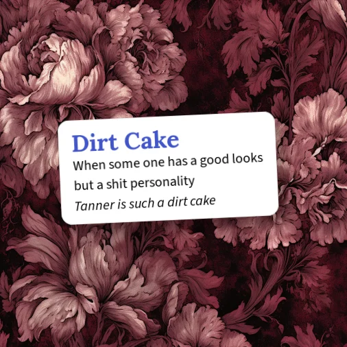 Urban Dictionary: dirt-caked