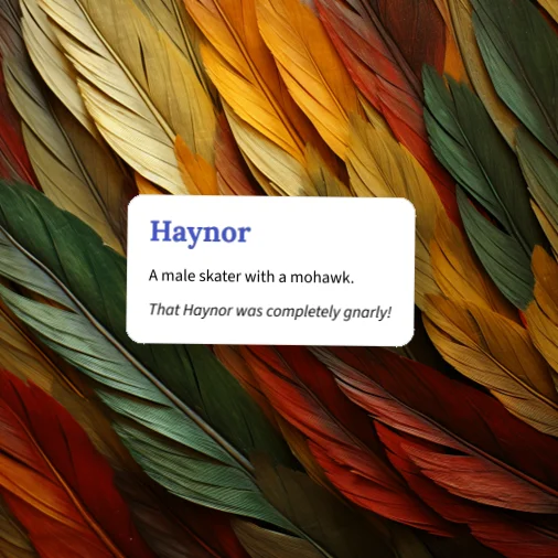 Urban Dictionary: Haynor
