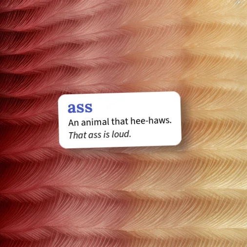 Urban Dictionary: ass