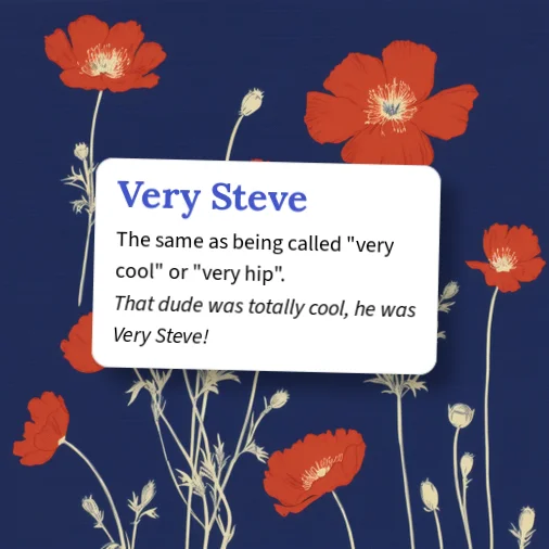 Urban Dictionary: very stevie