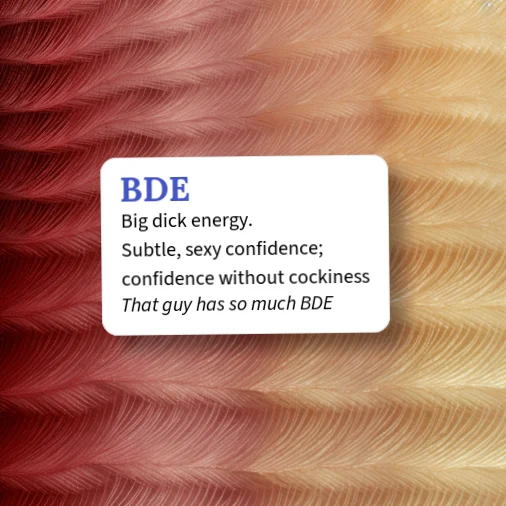 Urban Dictionary: BDE