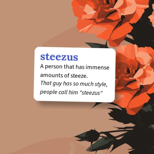 Urban Dictionary: steezus
