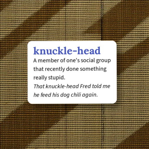 Urban Dictionary: knuckle-head