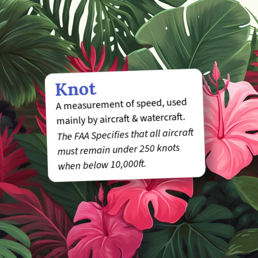 Urban Dictionary: Knot