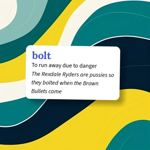 Urban Dictionary: Bolt