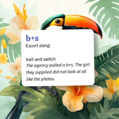 Urban Dictionary: b+s