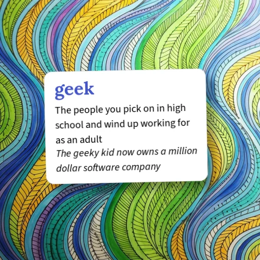 Urban Dictionary: geek