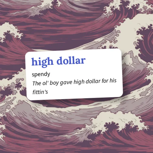 Urban Dictionary: high-dollar