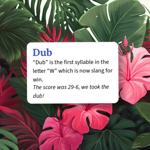 Urban Dictionary: dub
