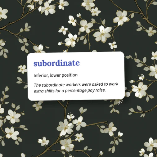 Urban Dictionary: subordinate