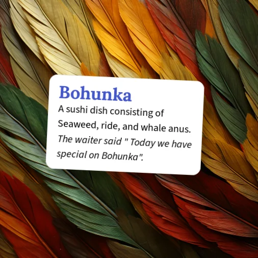 Urban Dictionary: Bohunka
