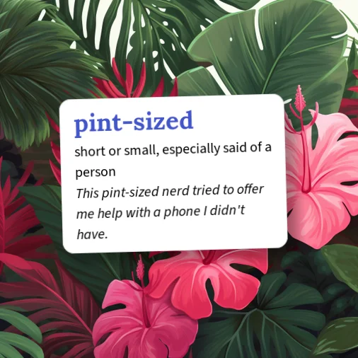 Urban Dictionary: pint-sized