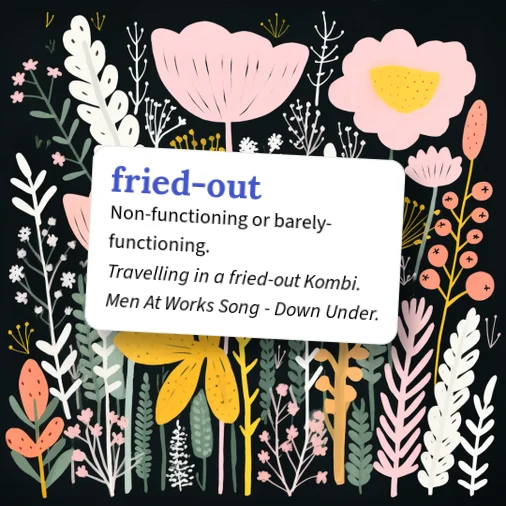 Urban Dictionary: fried-out