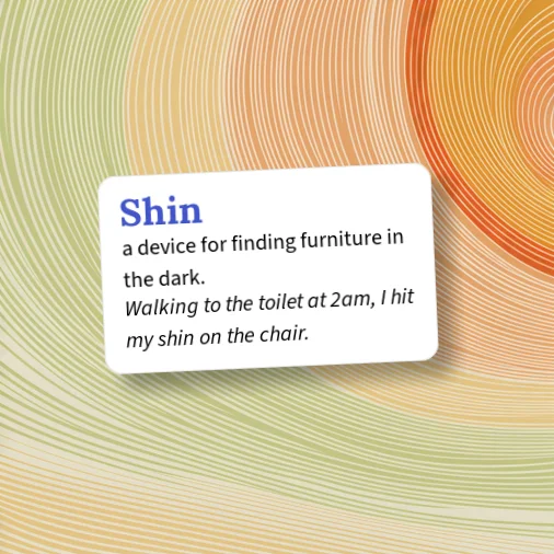 Urban Dictionary: Shin