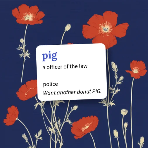 Urban Dictionary: pig