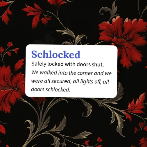 Urban Dictionary: Schlocked