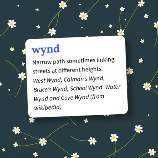Urban Dictionary: Wynd\