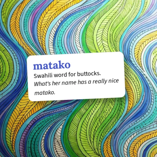 Urban Dictionary: matako