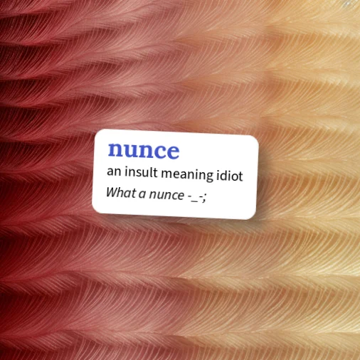 Urban Dictionary: nunce