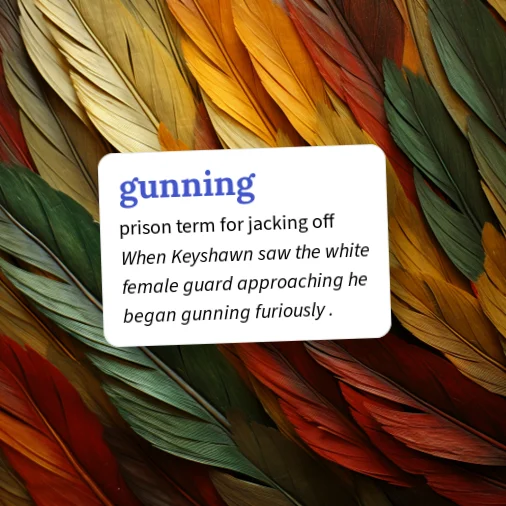 Urban Dictionary: gunning
