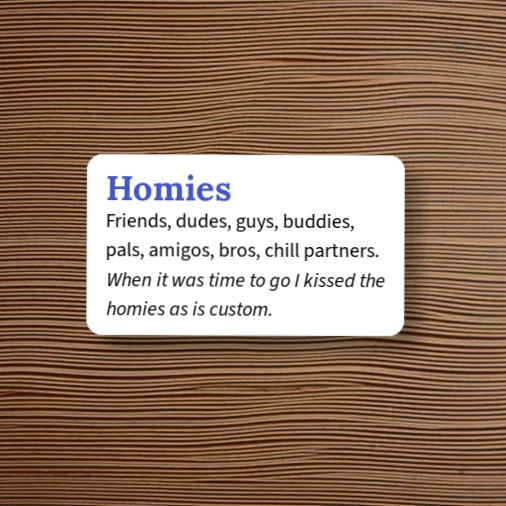 Urban Dictionary: Homies