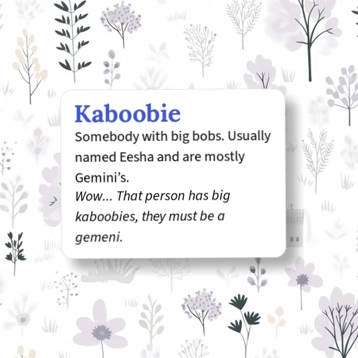Urban Dictionary: Kaboobie