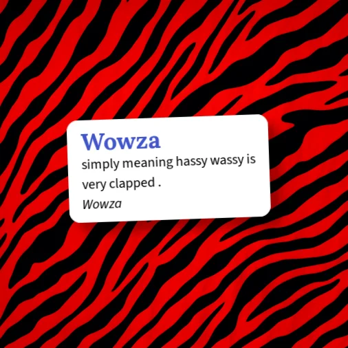 Urban Dictionary: Wowza