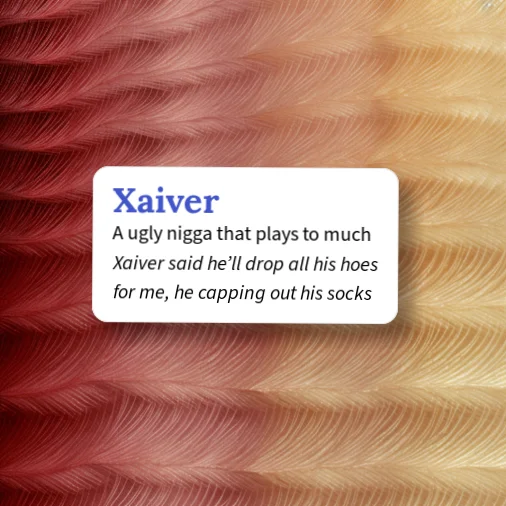 Urban Dictionary: Xaiver