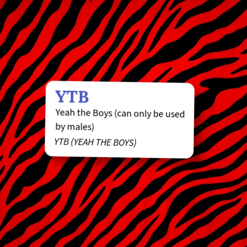Urban Dictionary: YTB