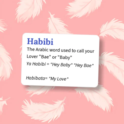 Urban Dictionary: Habibi