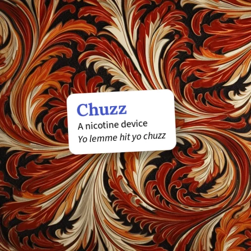 Urban Dictionary: chuzzes