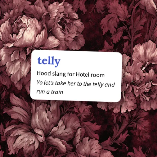 Urban Dictionary: telly