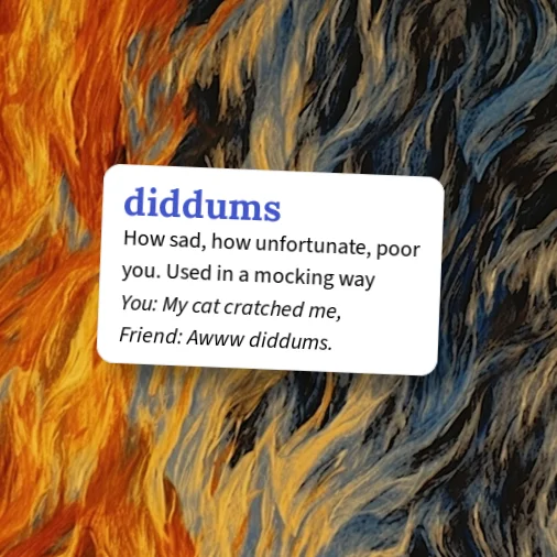 Urban Dictionary: diddums