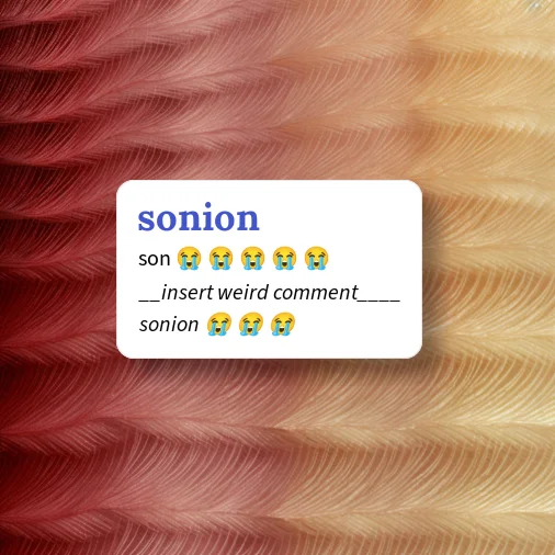 Urban Dictionary: sonion