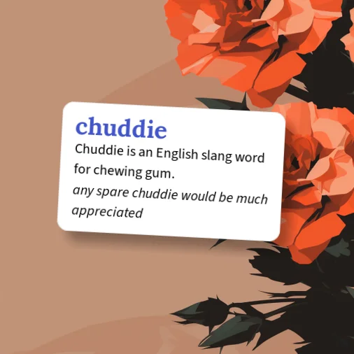 Urban Dictionary: chuddie