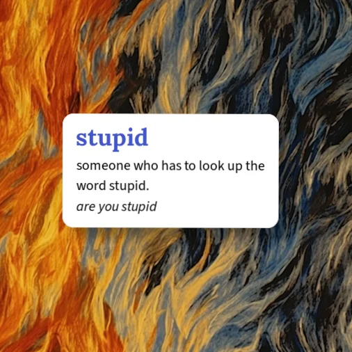 Urban Dictionary: [stupid