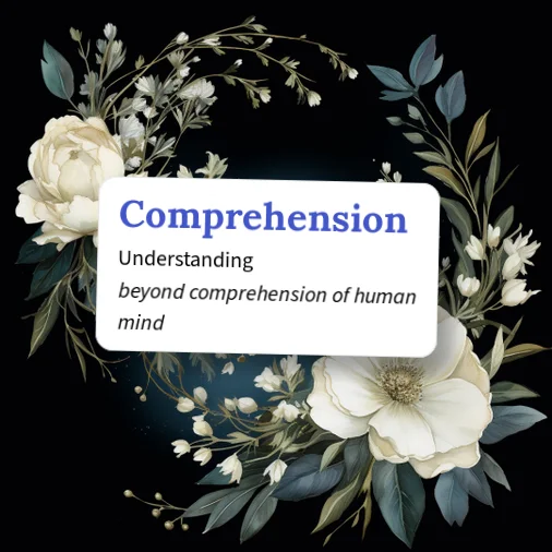 Urban Dictionary: Comprehension