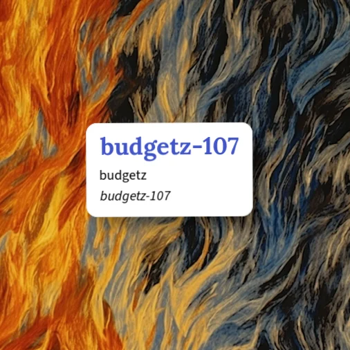 Urban Dictionary: budgetz-107