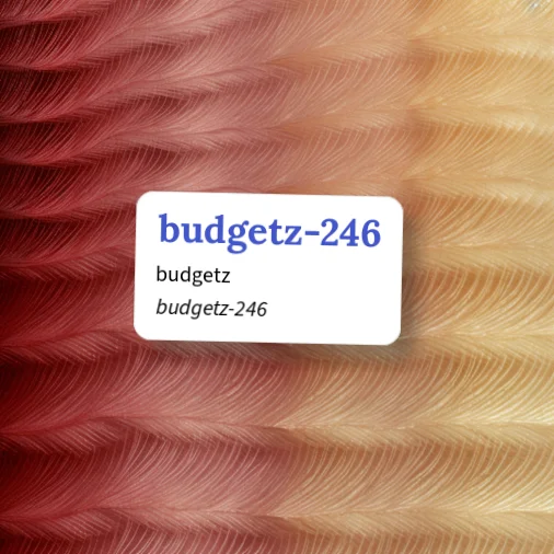 Urban Dictionary: budgetz-246