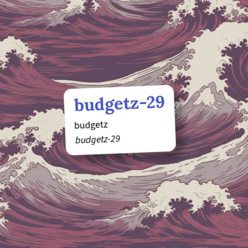 Urban Dictionary: budgetz-29