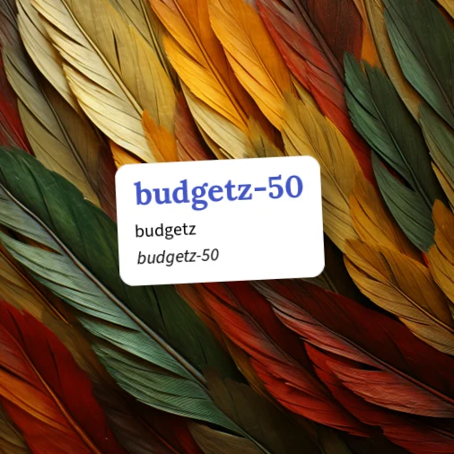 Urban Dictionary: budgetz-50