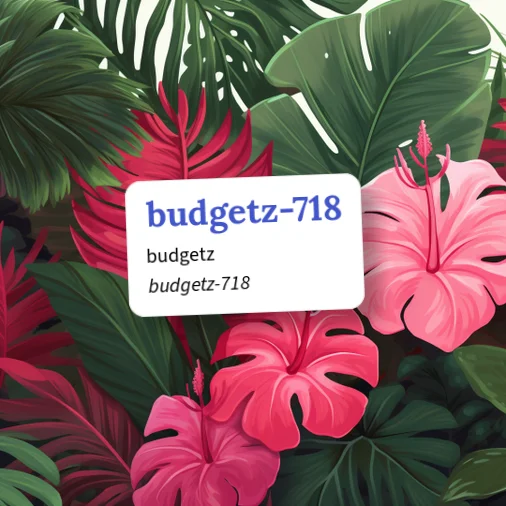 Urban Dictionary: budgetz-718