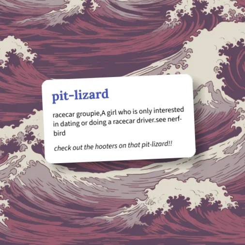 Urban Dictionary: pit-lizard