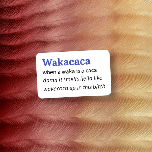 Urban Dictionary: Wakacaca
