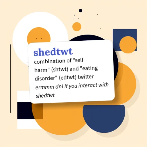 Urban Dictionary: shedtwt